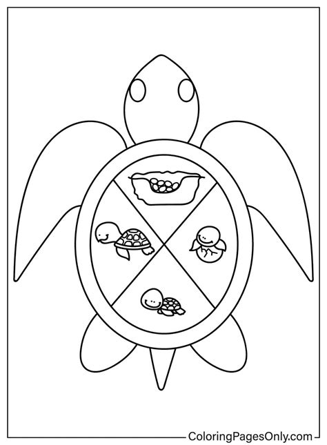 Image result for Turtle Life Cycle Coloring Sheets