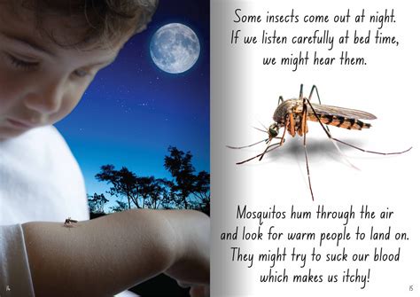 Image result for Insects Book Audio