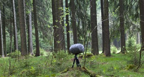 Image result for Field Sound Recording Cornwall