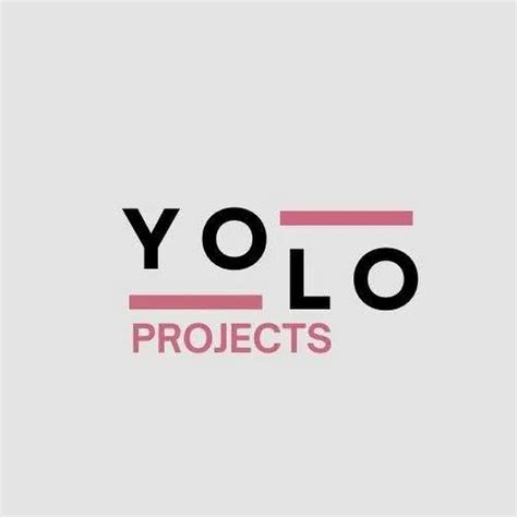 Image result for Yolo Python Projects