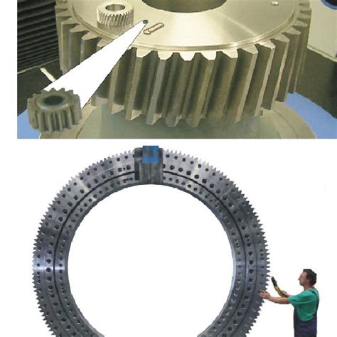 Image result for Involute Definition