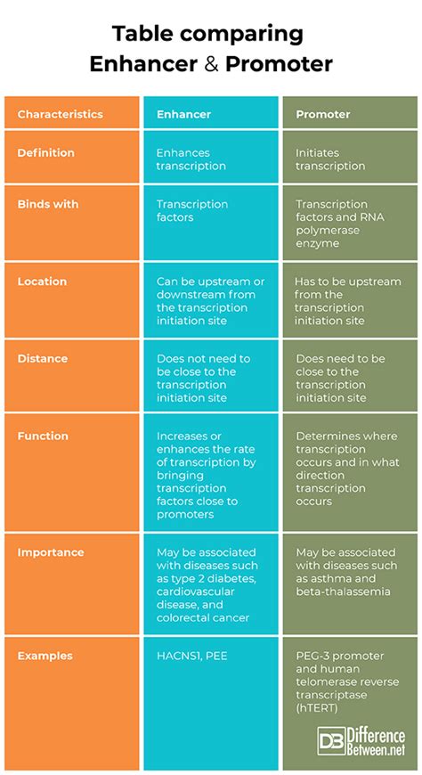 Image result for Enhancer Types