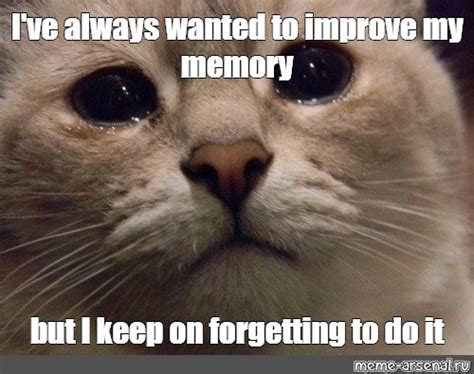 Image result for Implicit Memory Meme