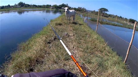 Image result for Fish Fail