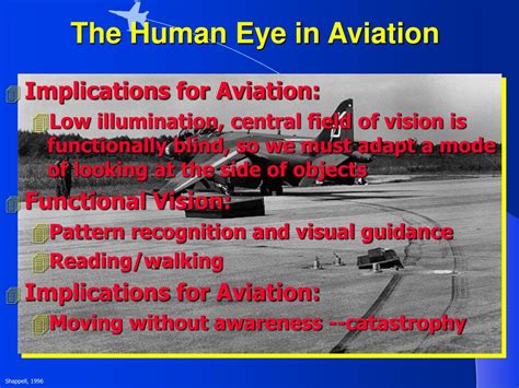 Image result for Fly Vision Effect