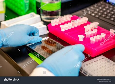 Image result for Quality Control Lab