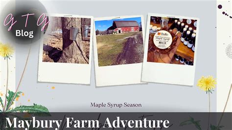Image result for Maple Syrup Farm Map of Quebec