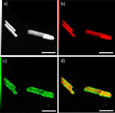 Image result for HfO2 EDX Mapping