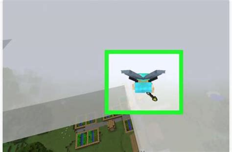 Image result for Elytra Guide
