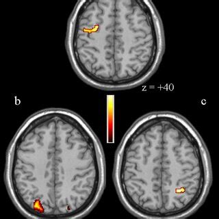 Image result for Visuospatial Proessing Example