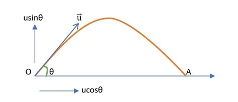 Projectile Motion Equations in Physics | Edumir Physics