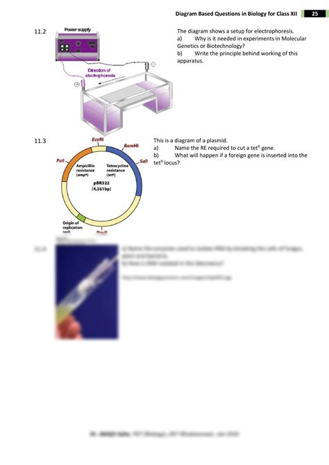 Image result for 12th Biology Module Chapter Name
