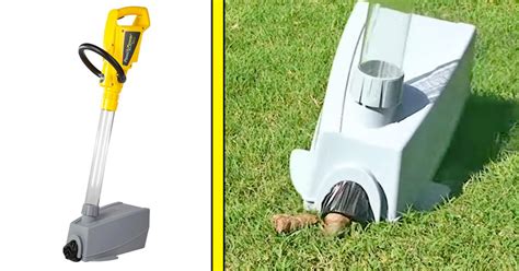 Image result for Using a Vacuum Cup to Poop