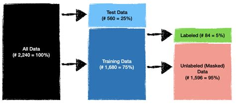 Image result for Self-Supervision Algorithm Training Step