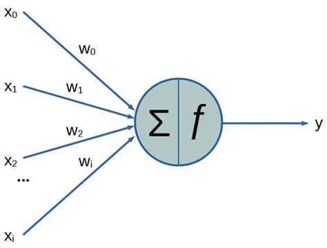 Image result for Single Neuron Structure in Multilayer Perceptron
