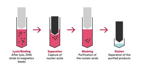 Image result for Manual Extraction