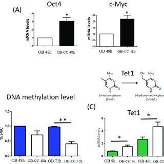 Image result for Gene Reprogramming