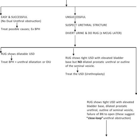 Image result for Urethrogram Technique