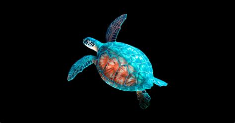 Image result for Cute Snapping Turtle