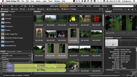 Image result for Bridge CS6 Tutorial