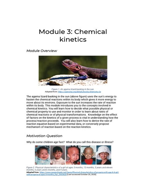 Image result for Chemical Kinetics Module Cover Page