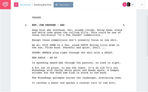 Image result for Breaking Script