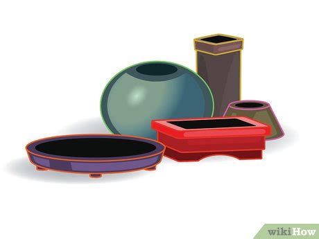 Image result for Creating Bonsia Tree