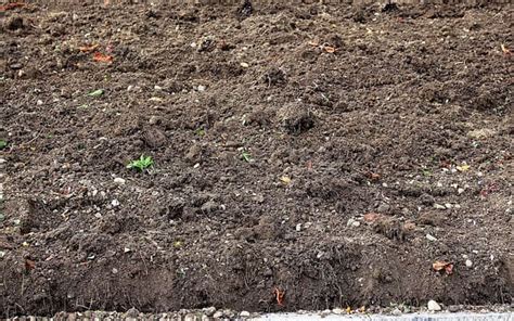 Image result for Humus Soil Cemical Compound