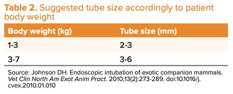 Image result for Rabbit Intubation