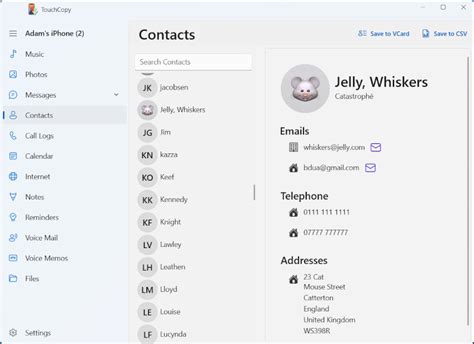 Image result for TouchCopy iPhone