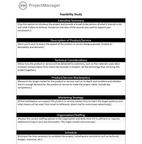 Image result for Project Management Feasibility Study Template