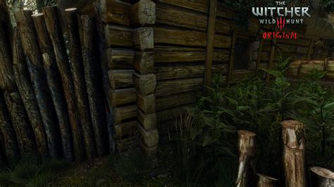 Image result for Witcher 3 Reworked FPS