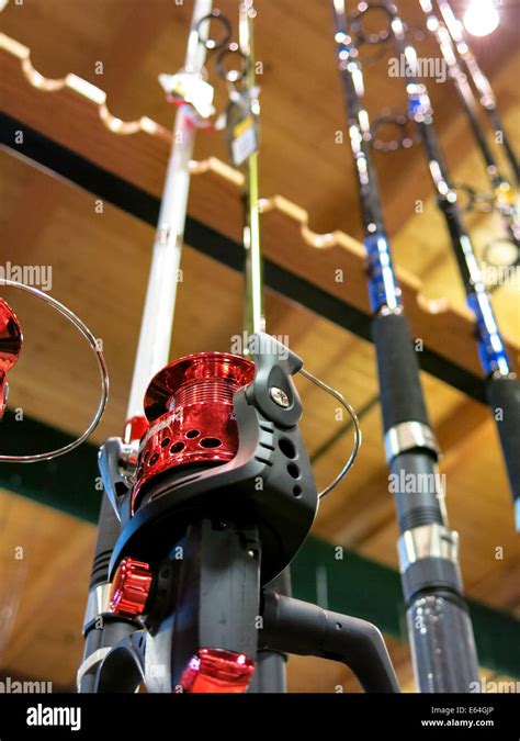 Image result for Scheels Sporting Goods