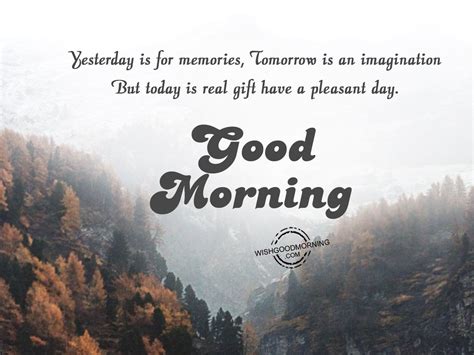 Image result for Morning Memory
