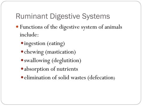 Image result for Ruminant Animals Digestive System