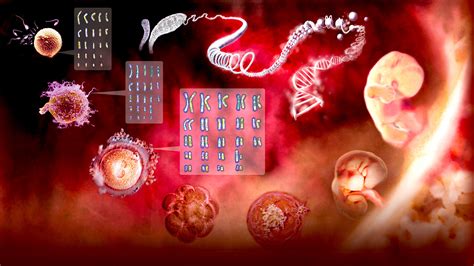 Image result for Genetic Problems