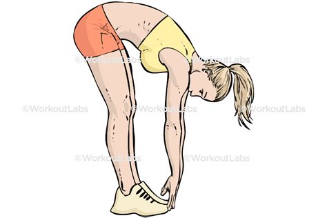 Image result for Side Toe Touch