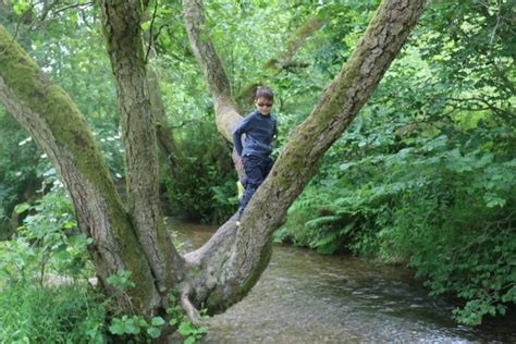 Image result for Stickman Creating