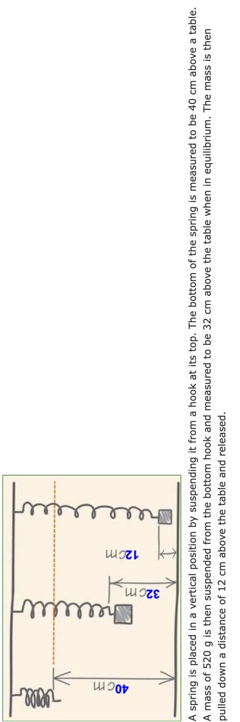 Image result for Vertical Spring Physics