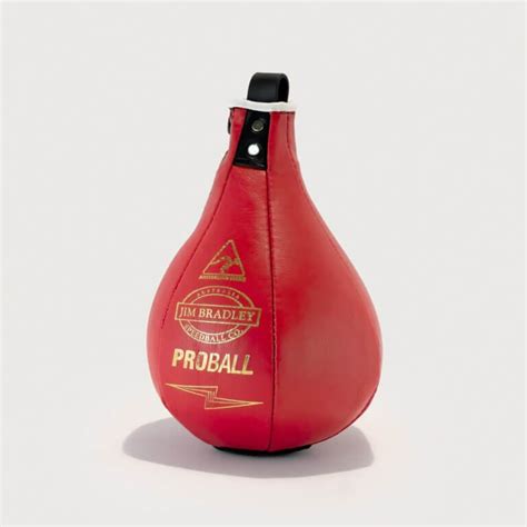 Image result for Speed Bag Tutorial