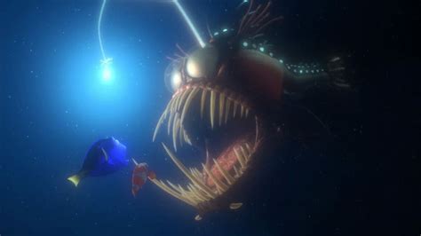 Anglerfish (Finding Nemo) | Fictional Characters Wiki | Fandom