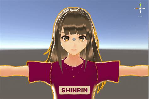 Image result for Unity VRChat View Point