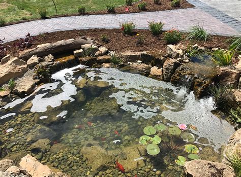 Image result for Large Pond Algae Control