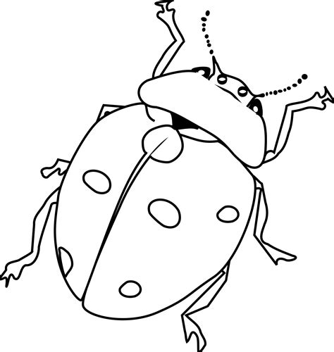 Image result for Ladybug Line Drawing