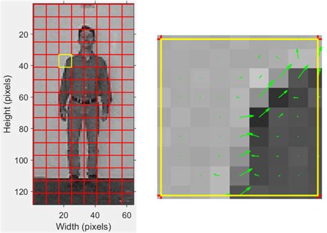 Image result for Calc 3 Gradient Visualization