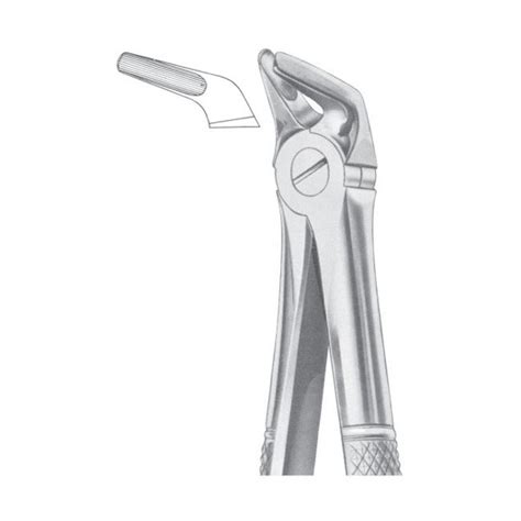 Image result for Extracting Forceps