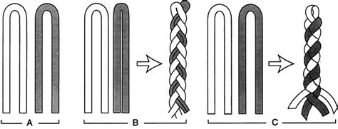 Image result for Learning Braiding Patterns