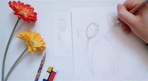 Image result for Flower Drawing Tutorial