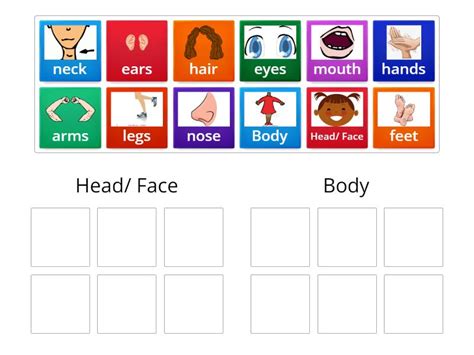 Image result for Body Parts Classifier Example
