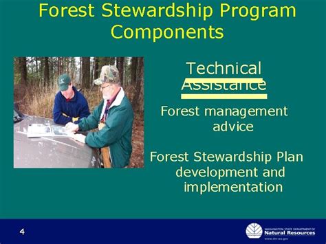 Image result for Forest Stewardship Program